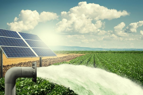 Pumping innovation underpins Weir Minerals’ GEHO success - Pumps ...